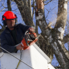 Tree Service Company | Emergency Tree Services |Toms River, Barnegat ...